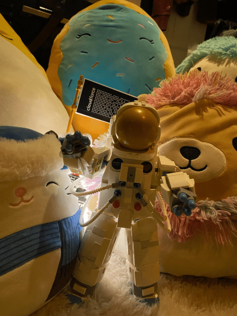 Welcome to the Cloudforce Holiday Contest: “Naut on the Spot”!🧑‍🚀 ...